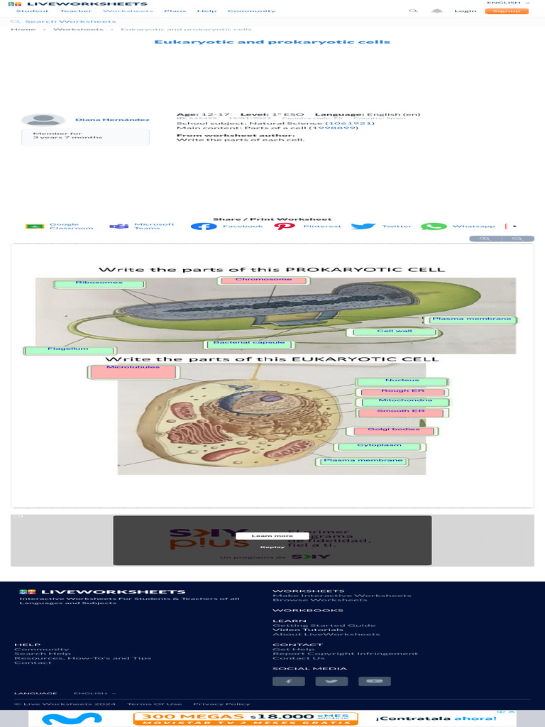 Eukaryotic and Prokaryotic Cells Worksheet Live Worksheets 2 | PDF ...