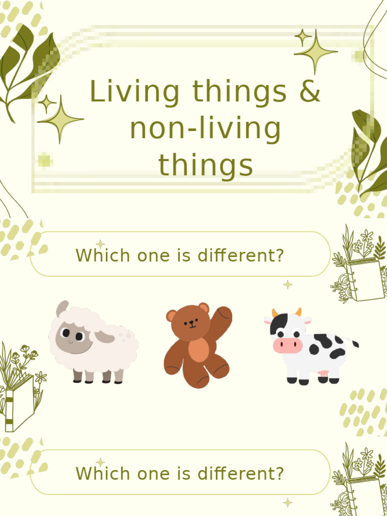 Living vs Non-Living for Kids | PDF
