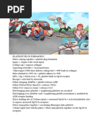 SketchyMicro Video List | PDF | Gram Negative Bacteria | Prokaryote