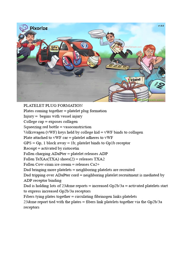 Pixorize - Google 文档 | PDF | Glycolysis