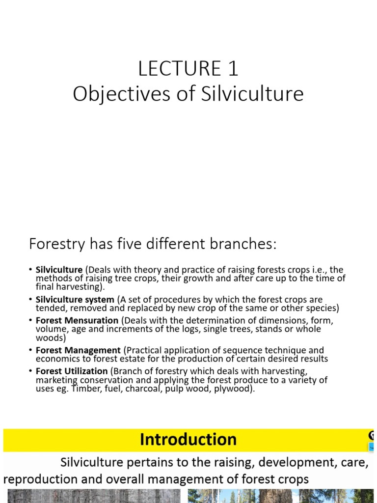 Lec-1 - Objectives of Silviculture | PDF | Forestry | Forests