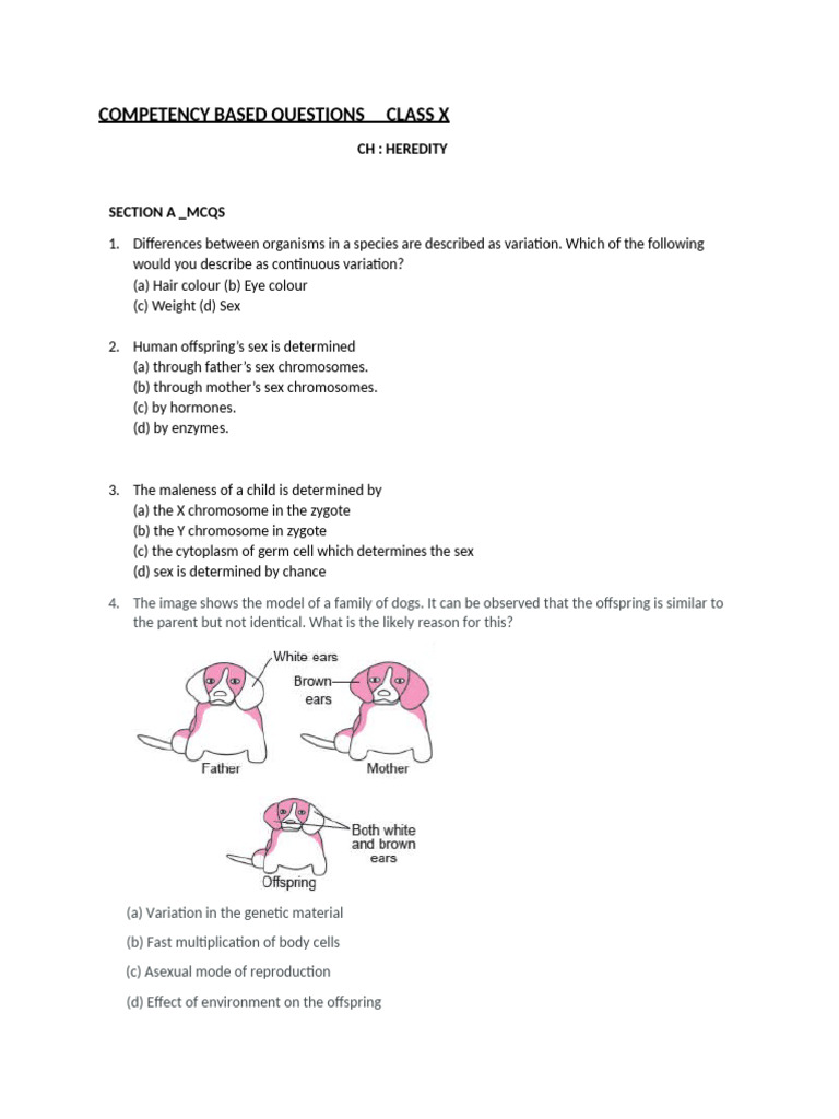 Competency Based Questions Cls X | PDF | Stimulus (Physiology ...