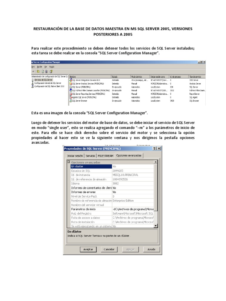 Restauración de La Base de Datos Maestra | PDF