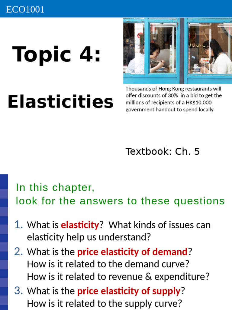 04 Elasticities Stu | PDF | Elasticity (Economics) | Demand