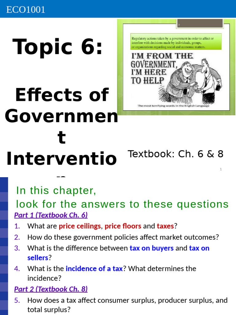 06 - Effects of Government Intervention - Stu | PDF | Taxes | Tax Incidence