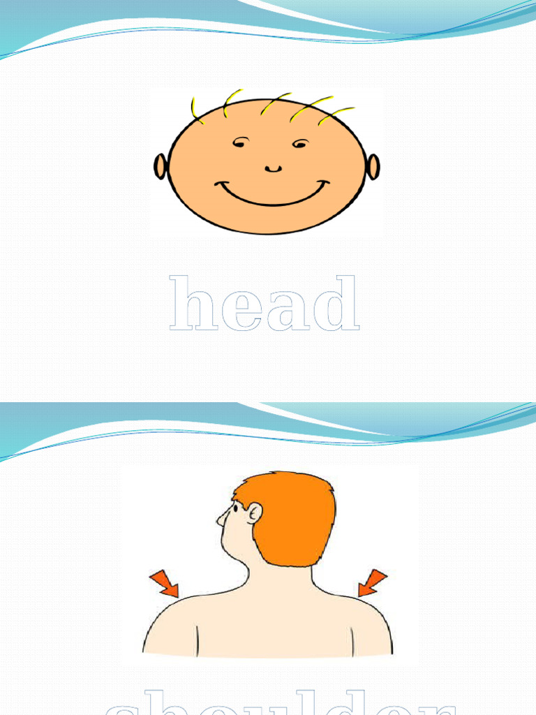 Body Parts Flashcards | PDF