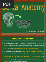 Triadan Tooth Numbering System | PDF