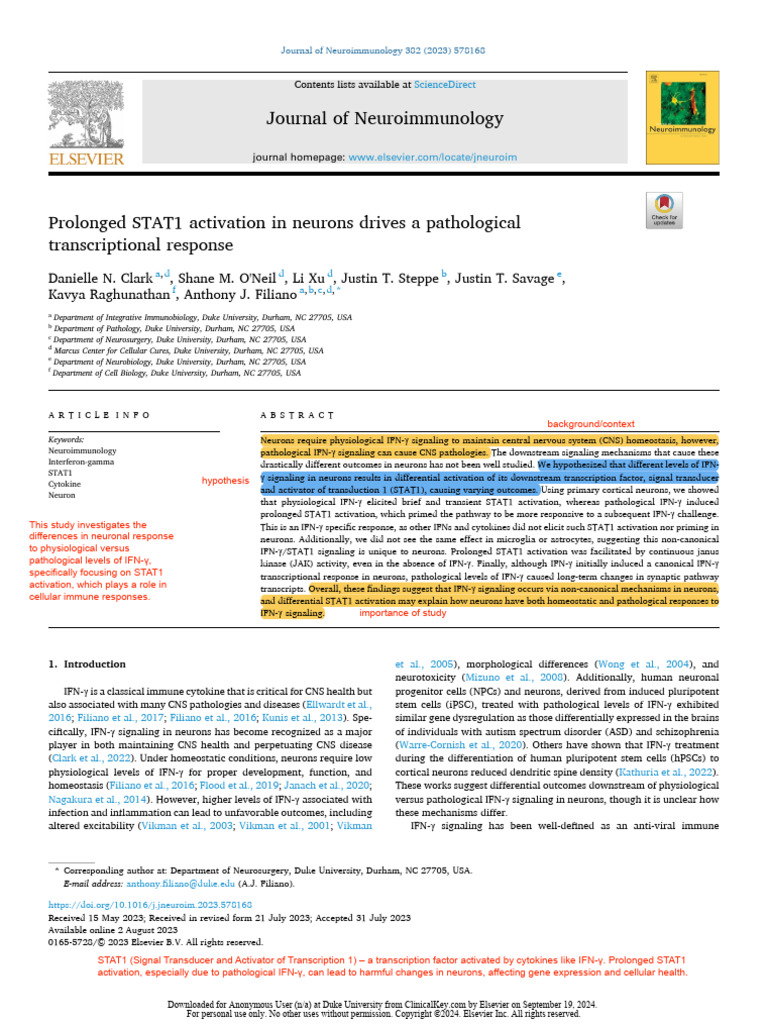 Allen Paper Prolonged STAT1 Activation in Neurons Drives a Pathological Response | PDF ...
