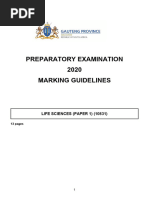 2024 Ns Grade 9 Test Term 1 | PDF | Muscle | Foods