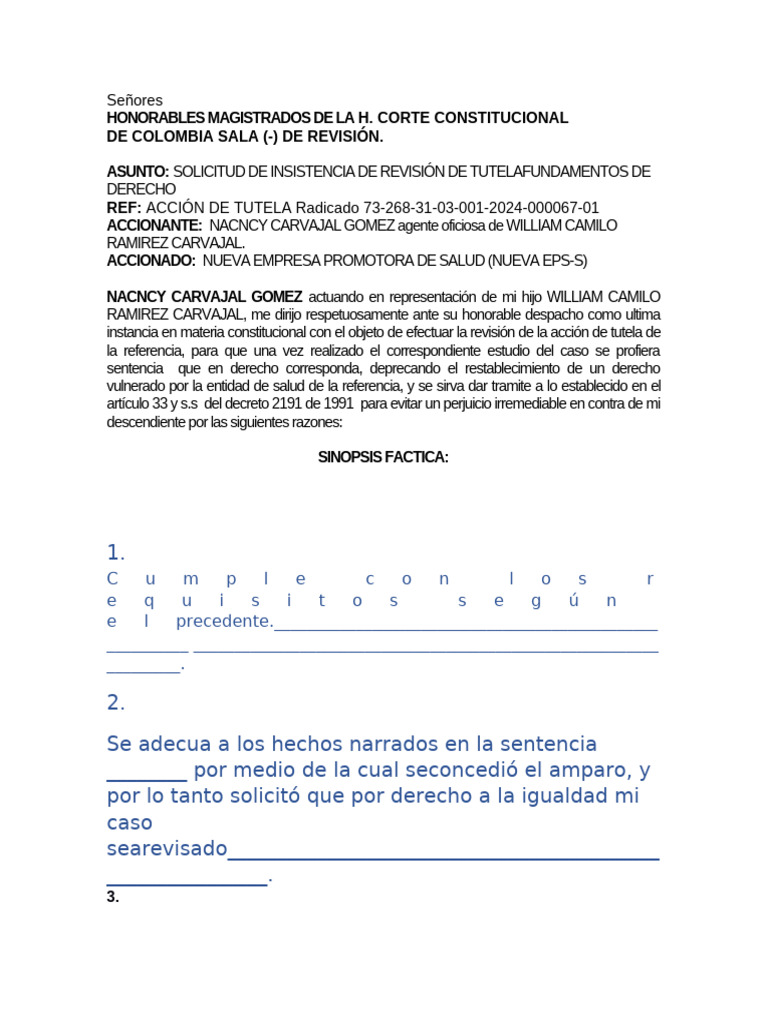 Solicitud de Insistencia de Revisión | PDF | Justicia | Crimen y violencia