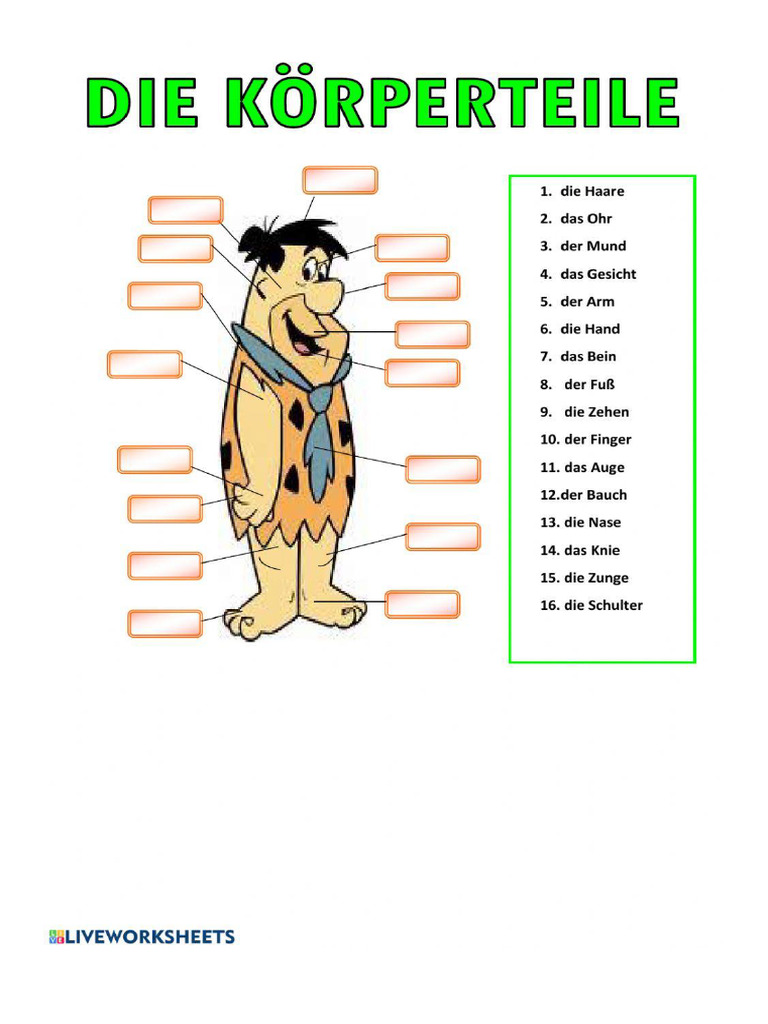 Körperteile | PDF