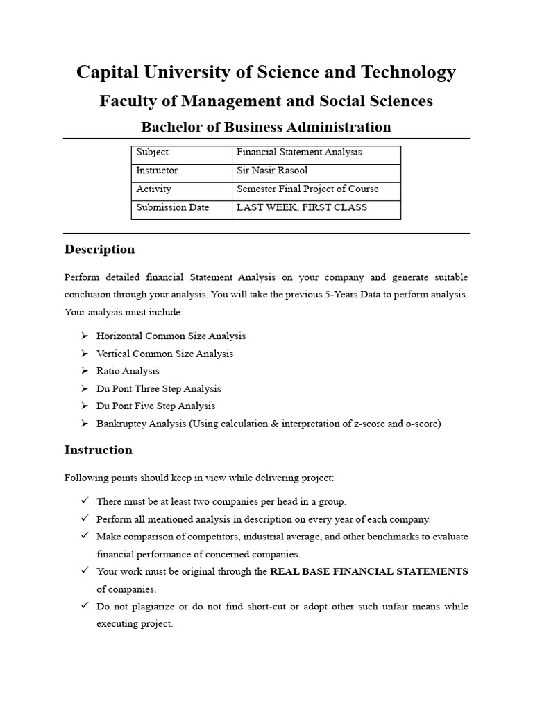 FSA Project Instructions Fall 2024... | PDF | Dividend | Free Cash Flow