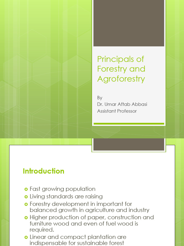 4-Principles of Forestry | PDF | Forestry | Forests