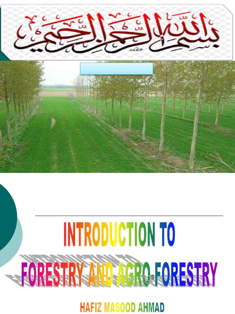 L-1 - Introduction To Forestry and Agro-Forestry W-24 | PDF | Riparian ...