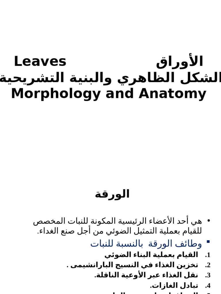 7 Leaves | PDF