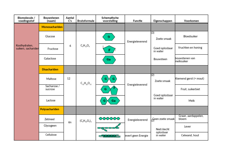 5 NW - 2 ICT Koolhydraten - Ingevuld | PDF