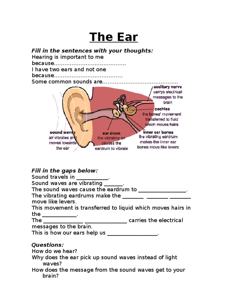 The Ear Word | PDF | Foreign Language Studies