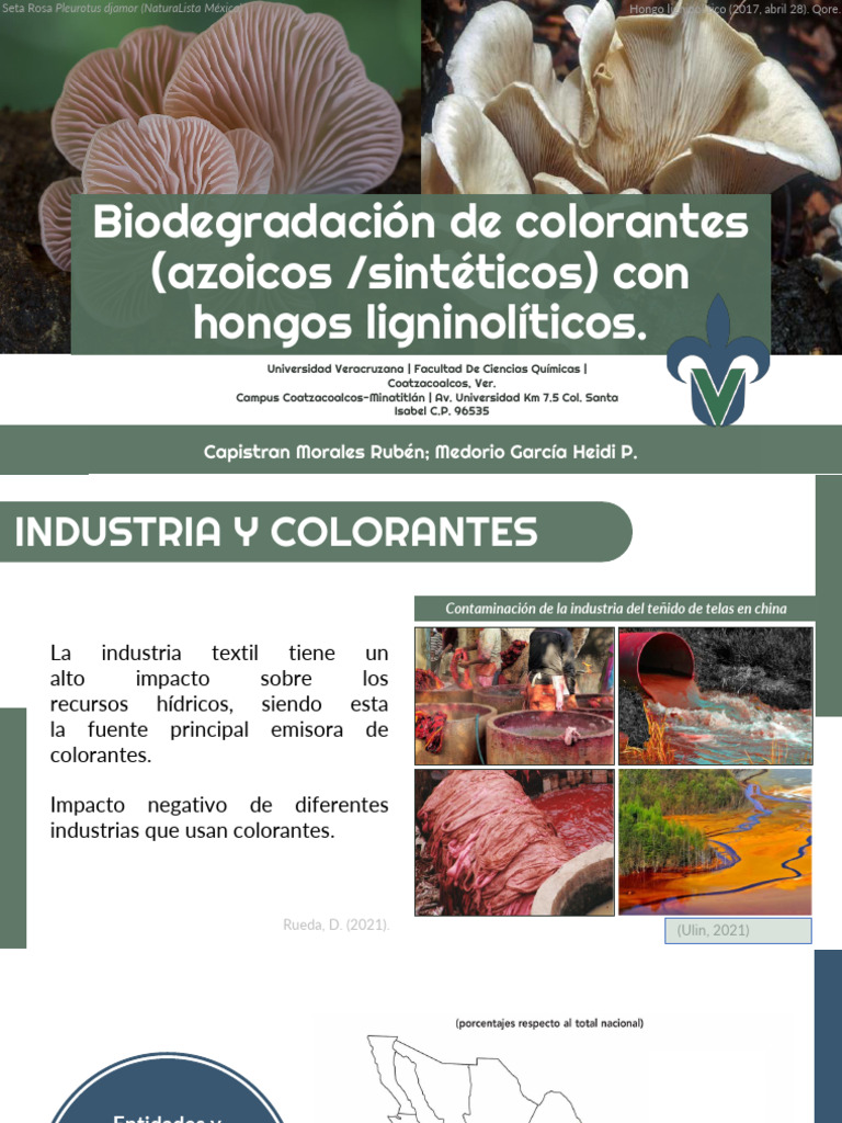 Biodegradación de Colorantes (Azoicos-Sintéticos) Con Hongos ...