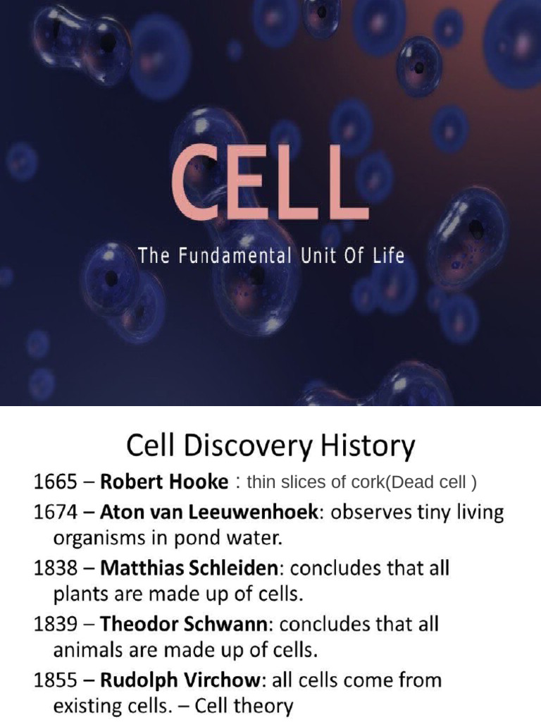 Cell | PDF | Cell (Biology) | Cell Nucleus