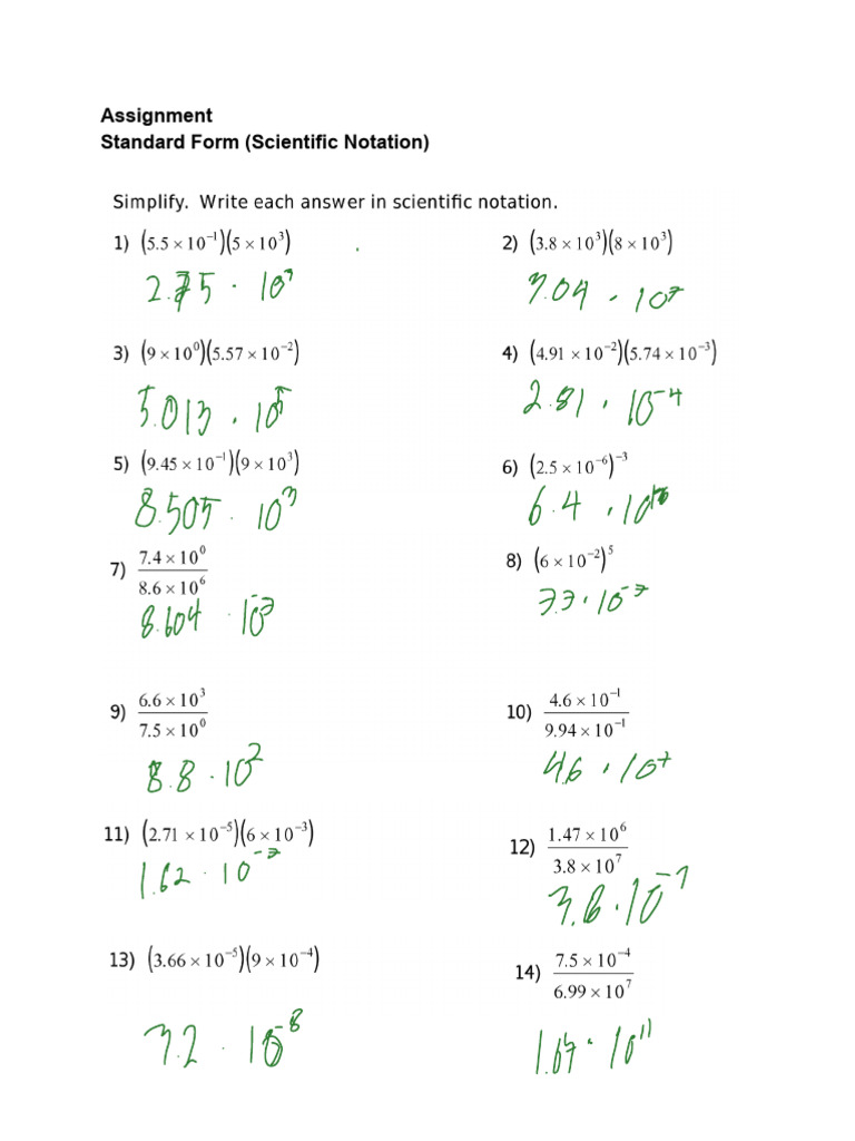 Kami Export - Assignment - Standard Form II | PDF