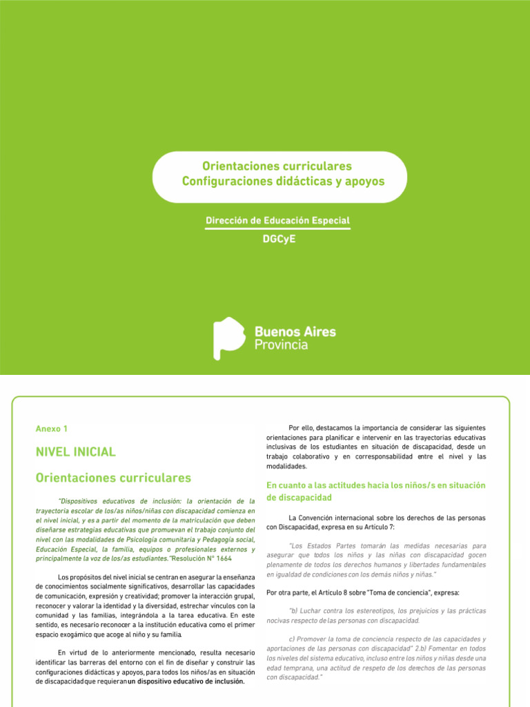 Orientaciones Curriculares Configuraciones Didacticas y Apoyo Direccion ...