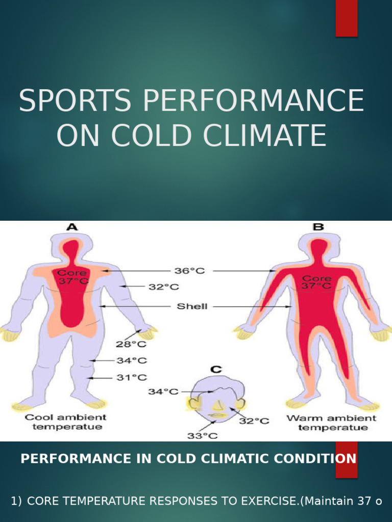Effect of Cold Environment On Performance | PDF