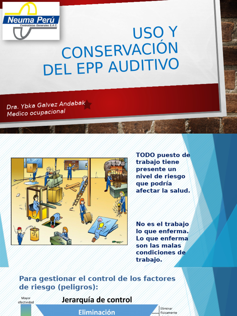 Uso y Conservación Del Epp Auditivo | PDF