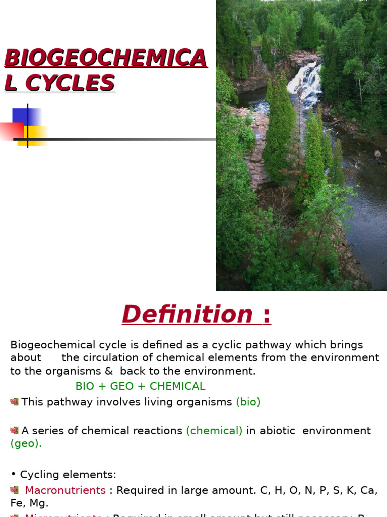 Biogeo Chemical Cycle | PDF | Nature | Earth Sciences