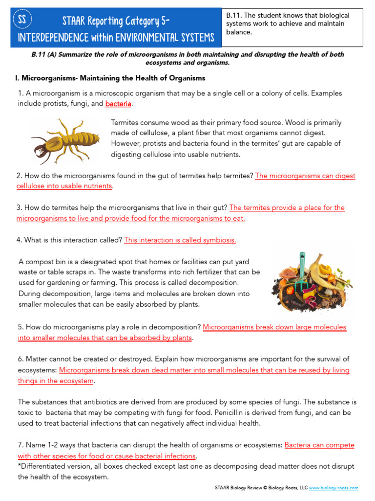 Microorganisms and Ecosystem Balance | PDF | Microorganism | Flowers