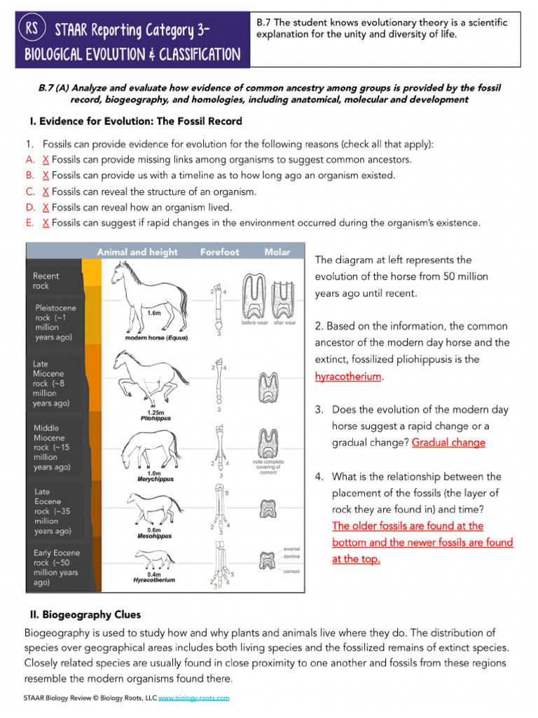 Staar Category 3 Key 2 | PDF | Genetic Diversity | Natural Selection