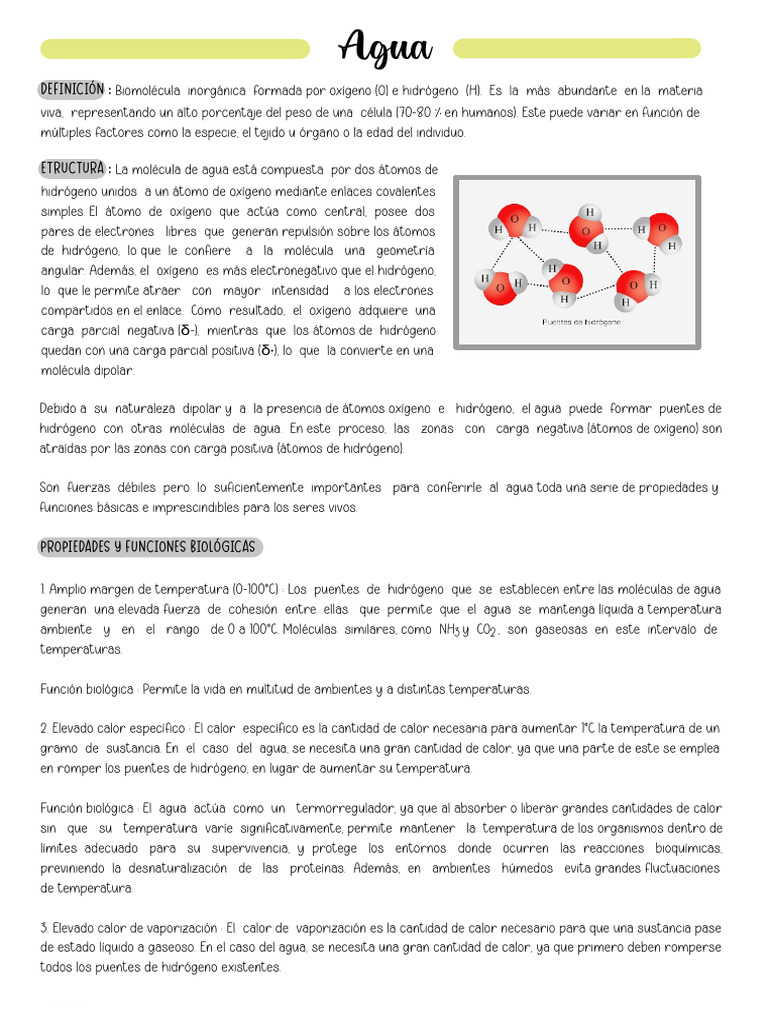 Wa0007. | PDF | Propiedades del agua | Polaridad química