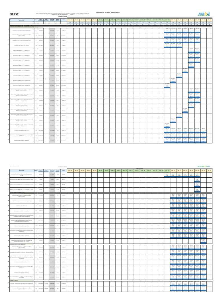 Cronograma Valorado Reprogramado | PDF