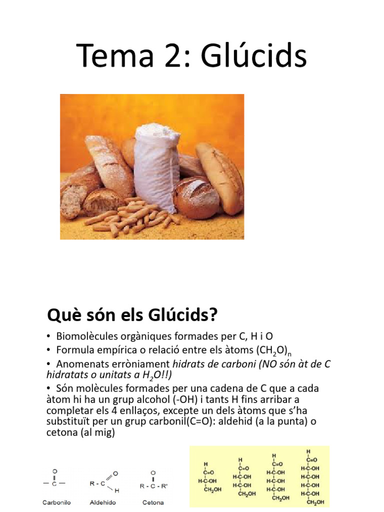 1 Tema 2 POWER Glucids | PDF