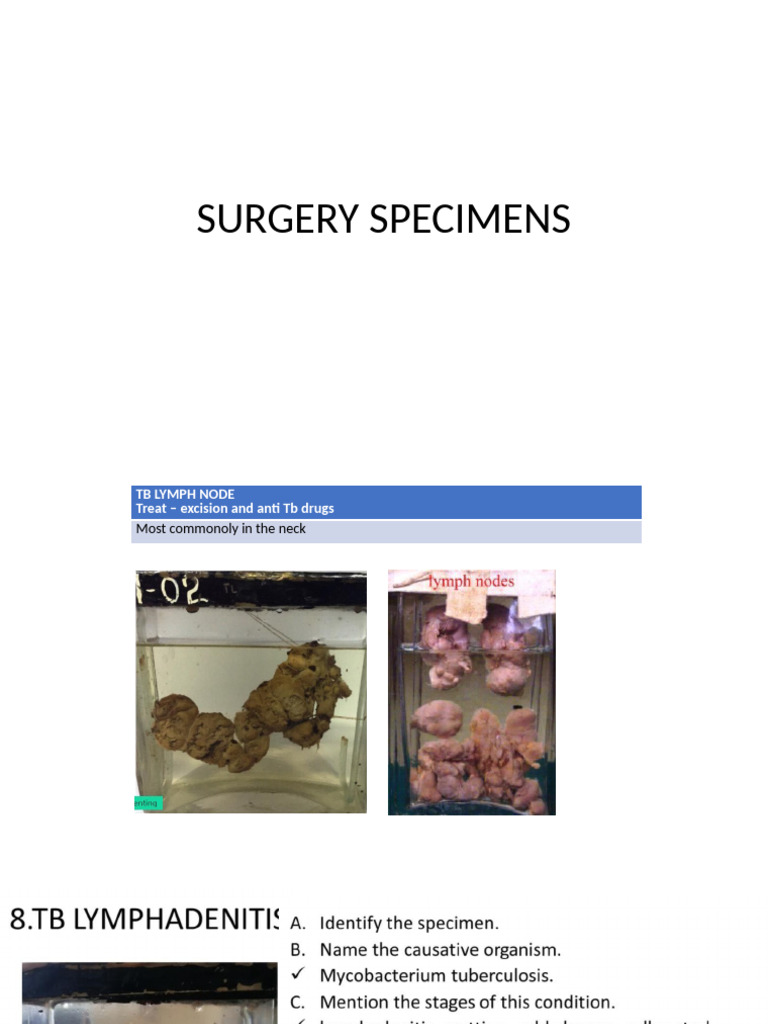 Surgery Specimens | PDF