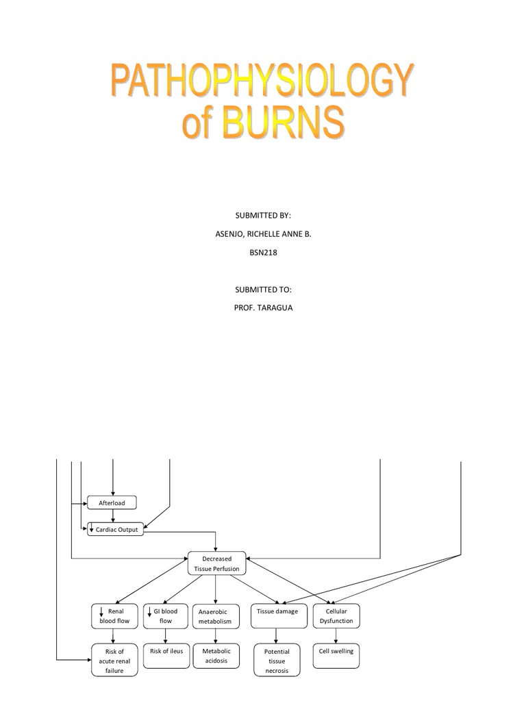 Burns Patho | PDF