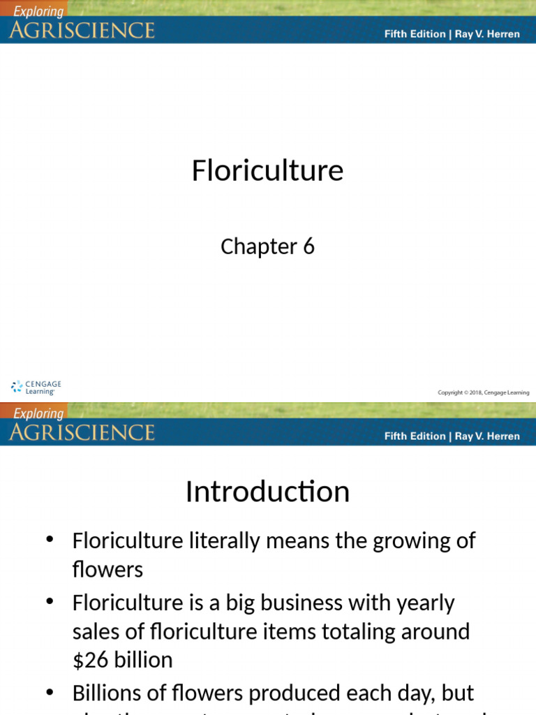 Herren_Ch06_PPT | PDF | Houseplant | Plants