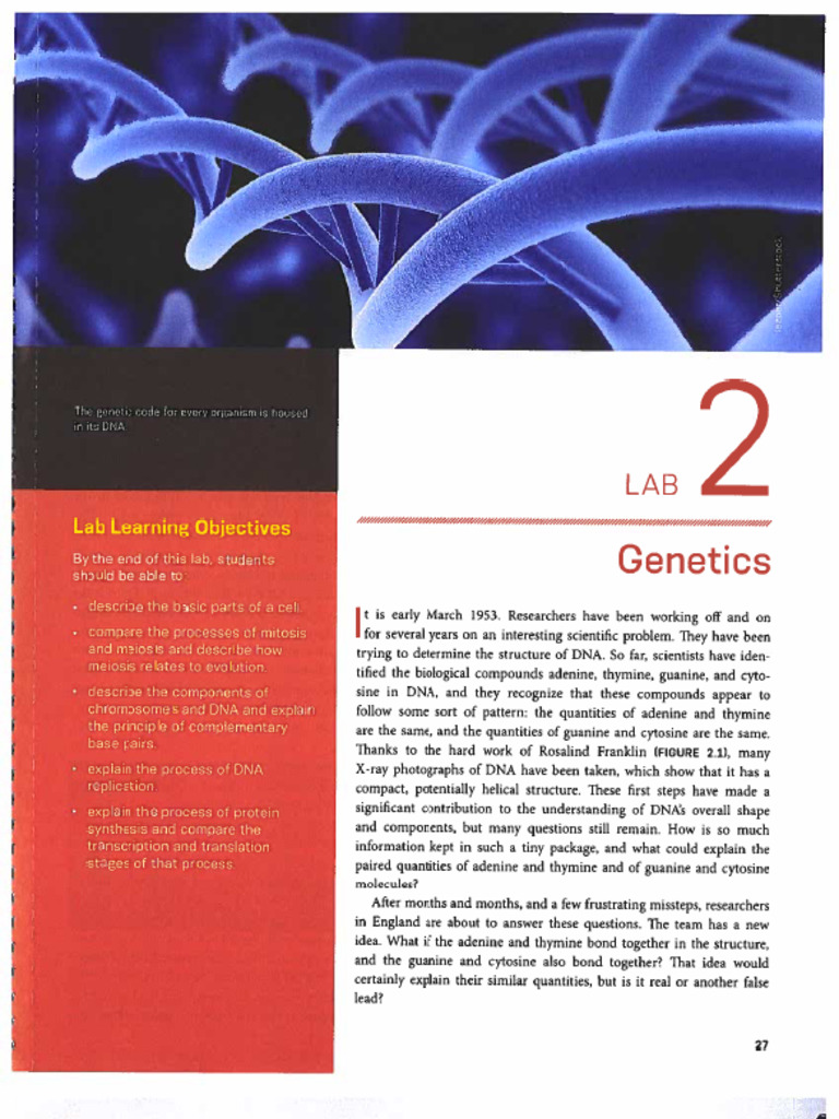 Lab Manual Chapter 2 | PDF