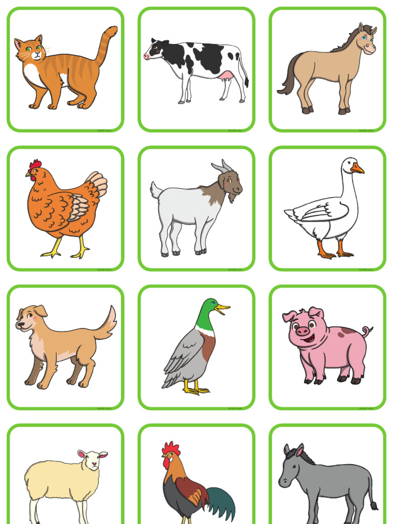 T TP 1685346667 Farm Animals Picture Snap Game - Ver - 2 | PDF