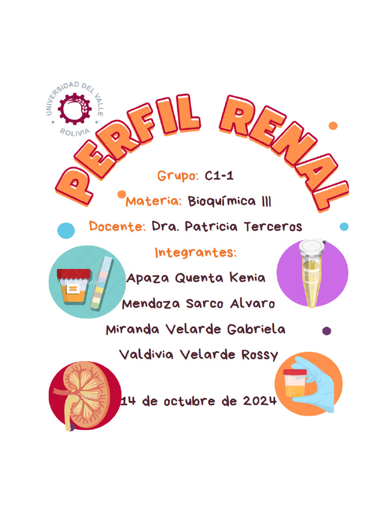 Perfil Renal | PDF | Creatinina | Sistema urinario