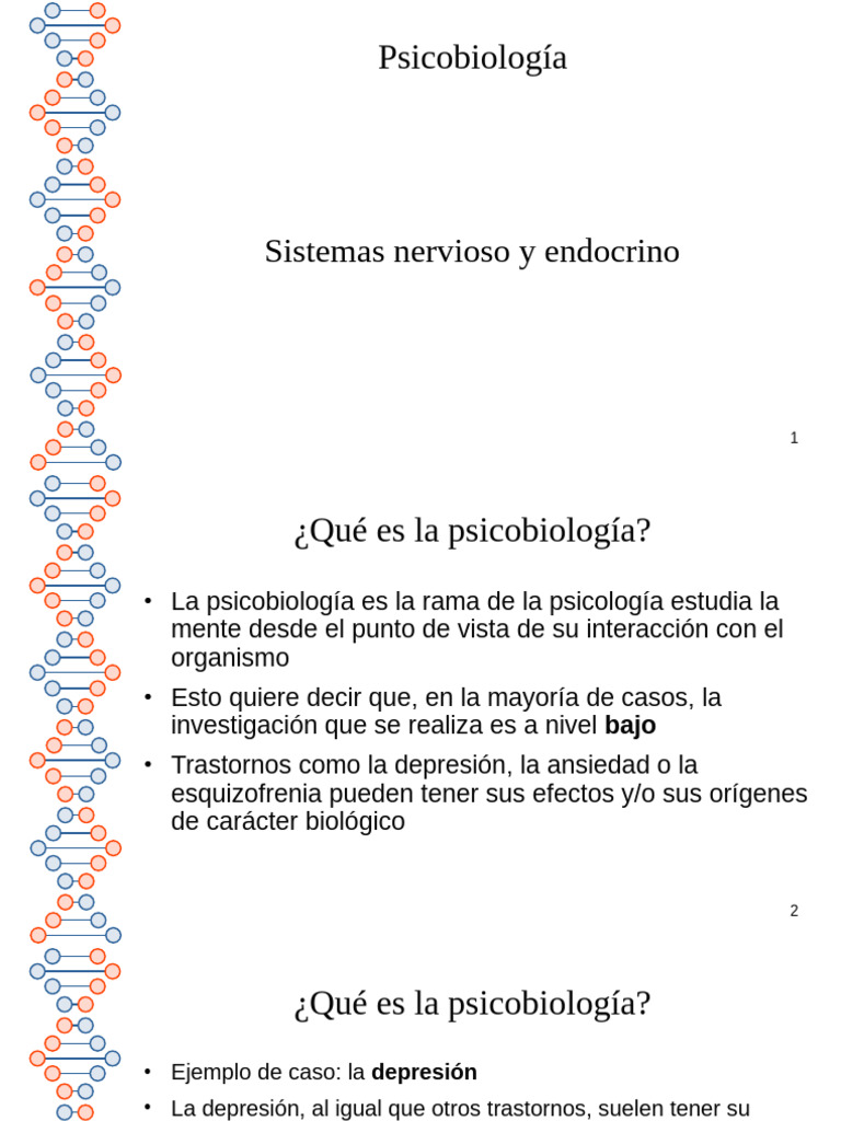 Psicobiología: Mente y Biología Conectadas | PDF | Sistema nervioso ...