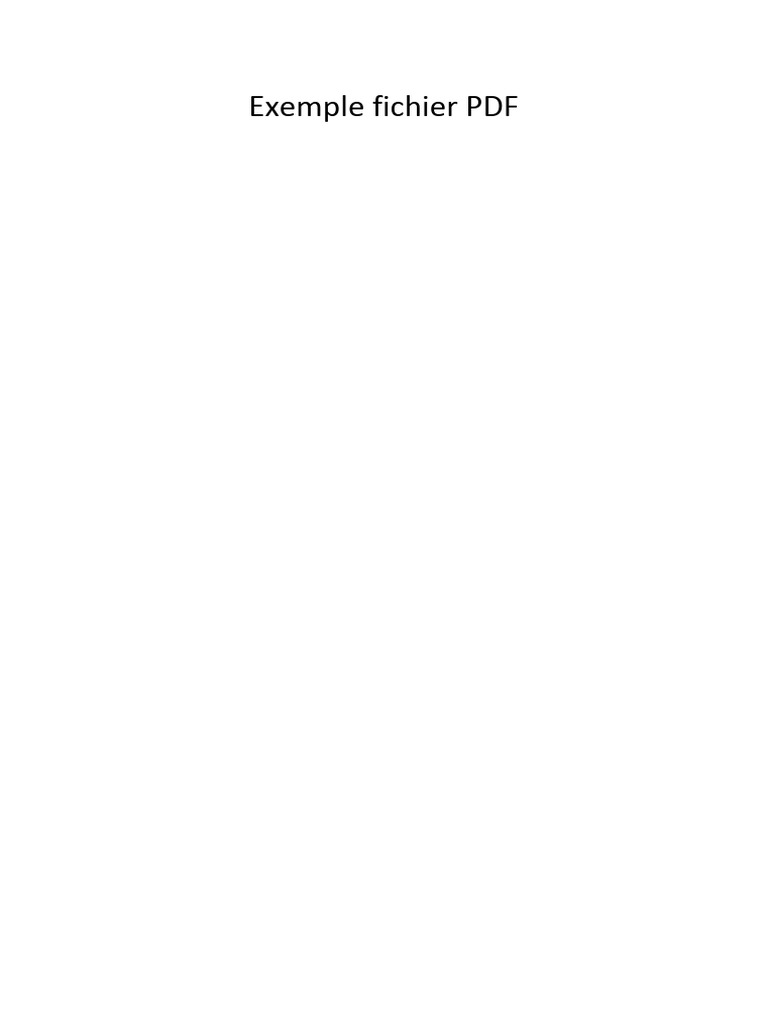 Exemple Fichier PDF 1 | PDF