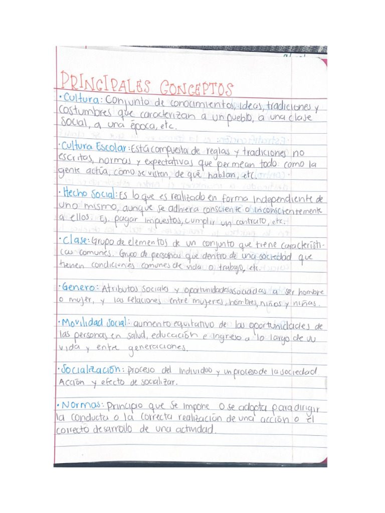 Conceptos | PDF