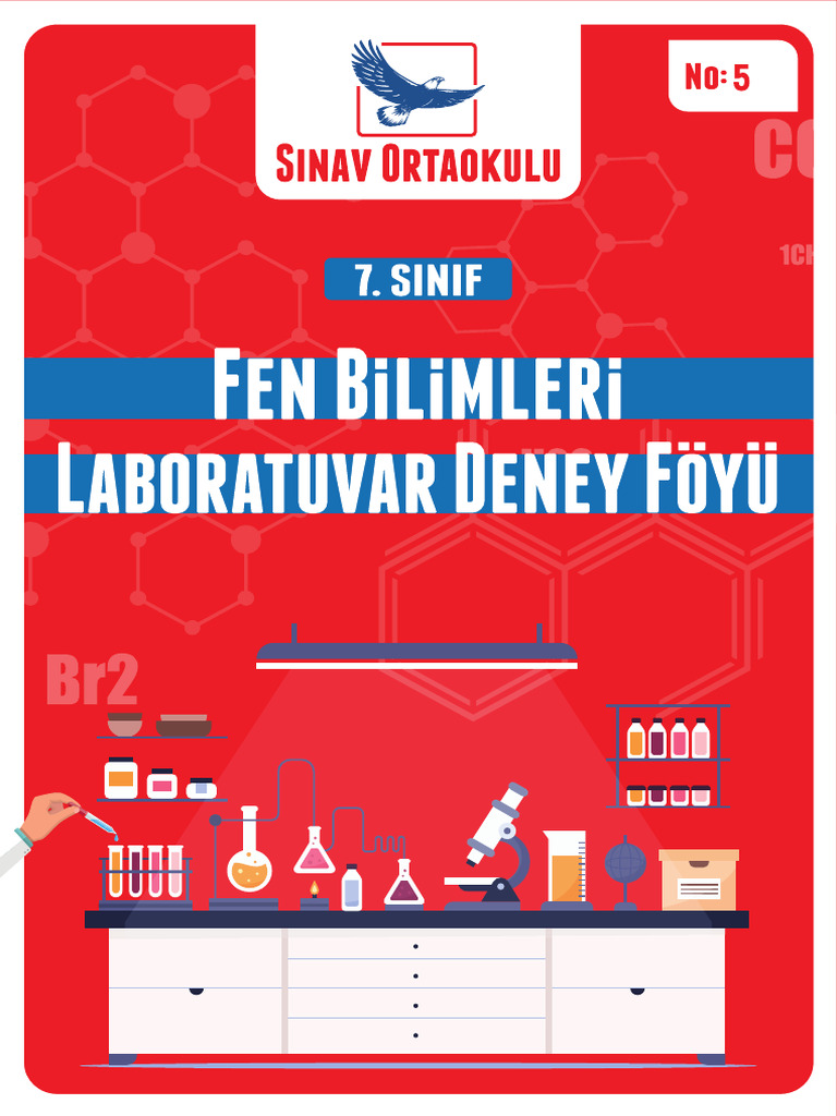 7 Sinif-5 Deney-Foyu | PDF