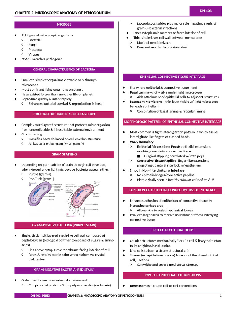 Ch11 | PDF | Epithelium | Human Tooth