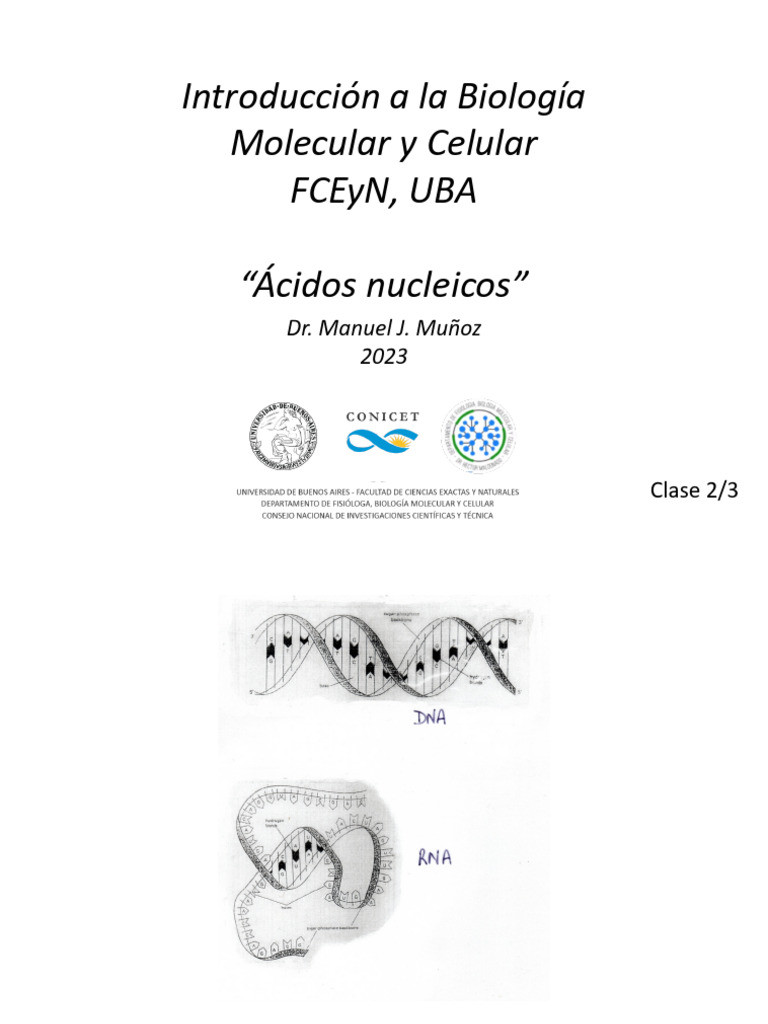 Ibmc 2C 2023 MJM T2 | PDF | Adn | Telómero