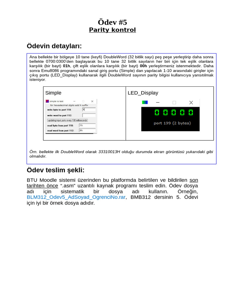 Ödev | PDF