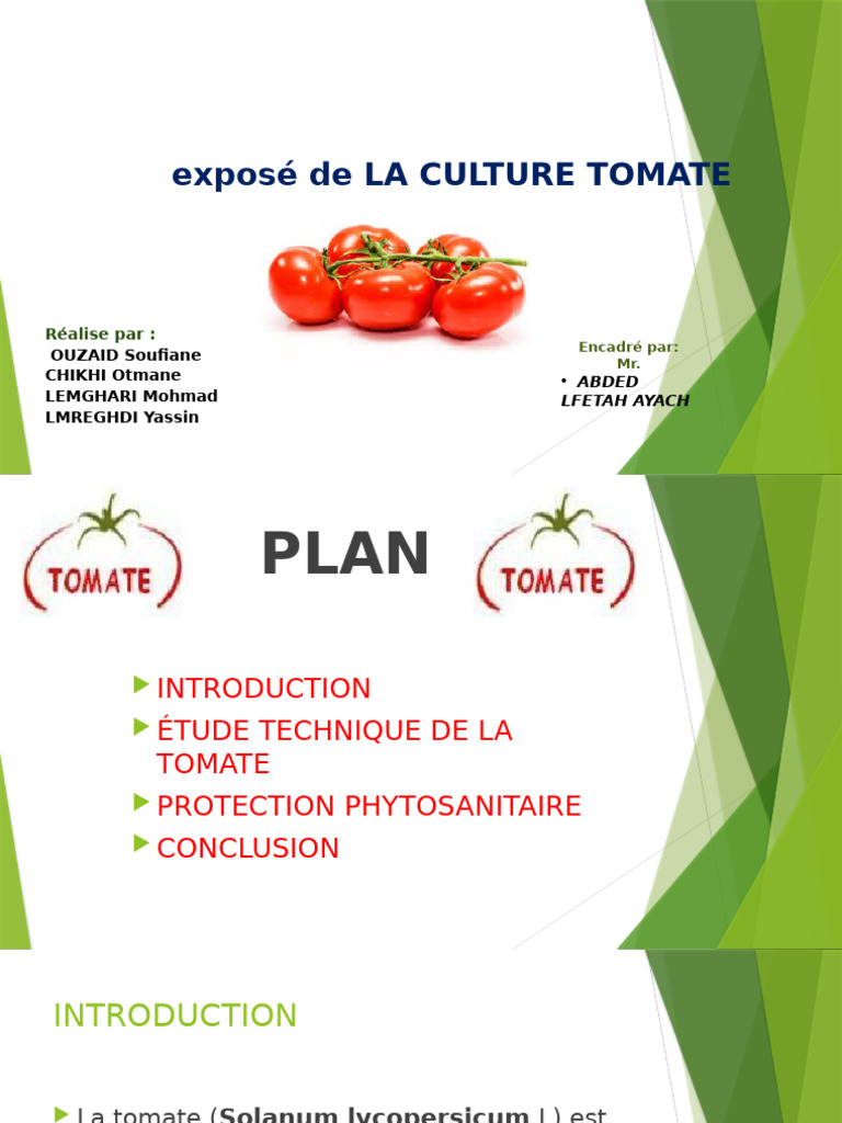 EXPOS | PDF | Tomate | Agriculture