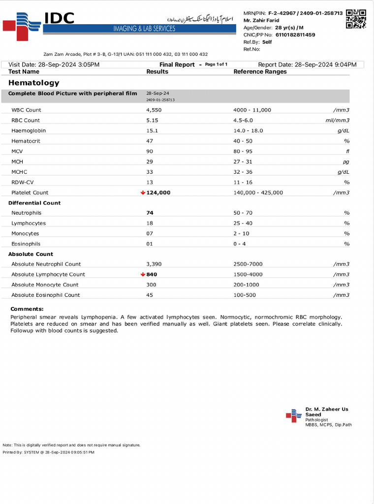 Patient Report PDF | PDF