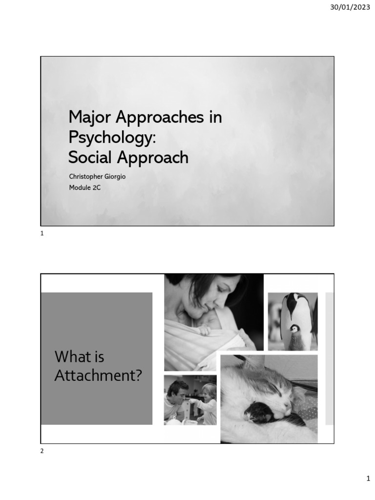 2c. Notes Social Approach | PDF | Attachment Theory | Empathy
