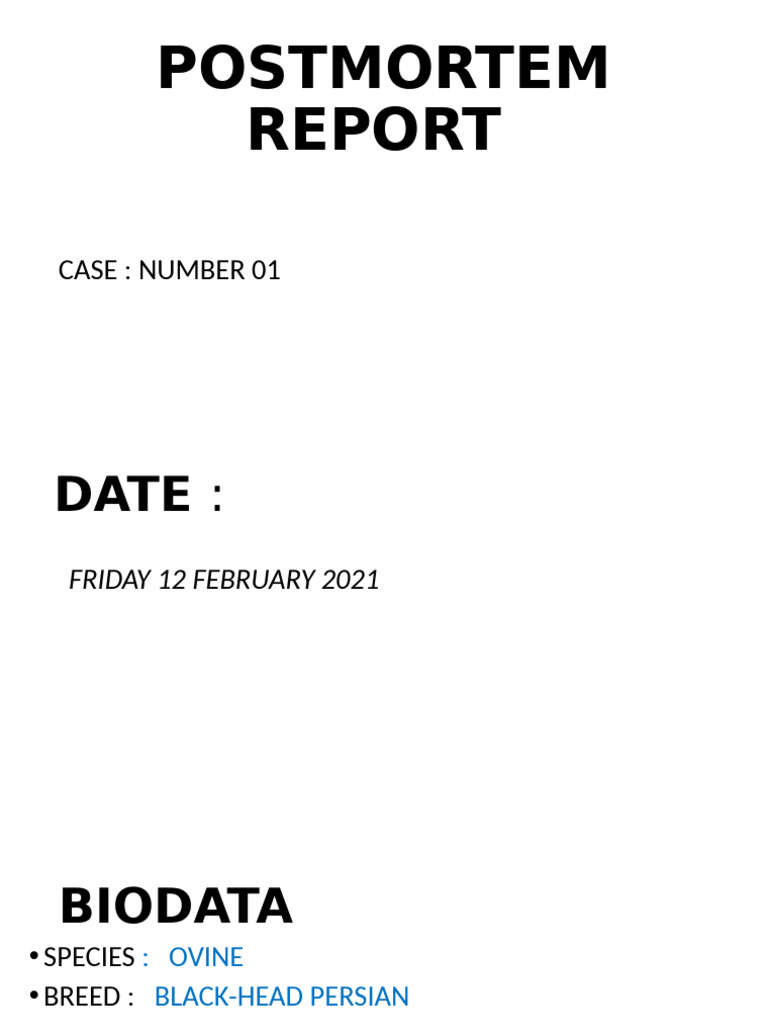 Postmortem Report No.01 | PDF